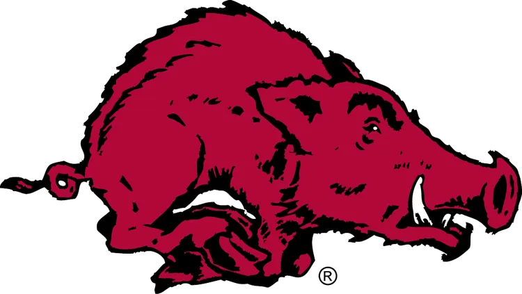 Arkansas Razorbacks 1963 Roster | StatMuse
