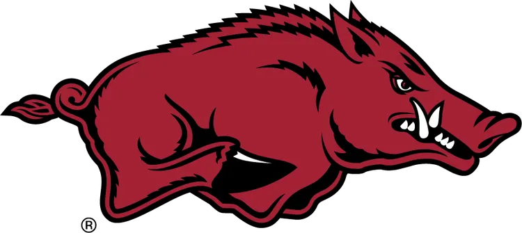 Arkansas Razorbacks 2024 Scores, Stats, Schedule, Standings | StatMuse