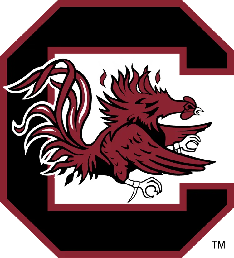 South Carolina Gamecocks 2024 Scores, Stats, Schedule, Standings | StatMuse
